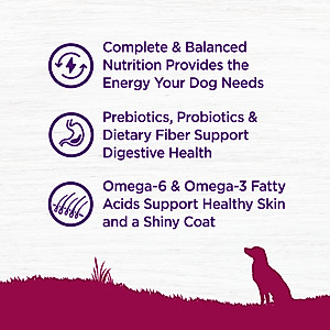 Wellness Complete Health Grain-Free Small Breed Dry Dog Food, Natural Ingredients, Made in USA with Real Turkey, For All Lifestages (Turkey, Chicken & Salmon, 4-Pound Bag)