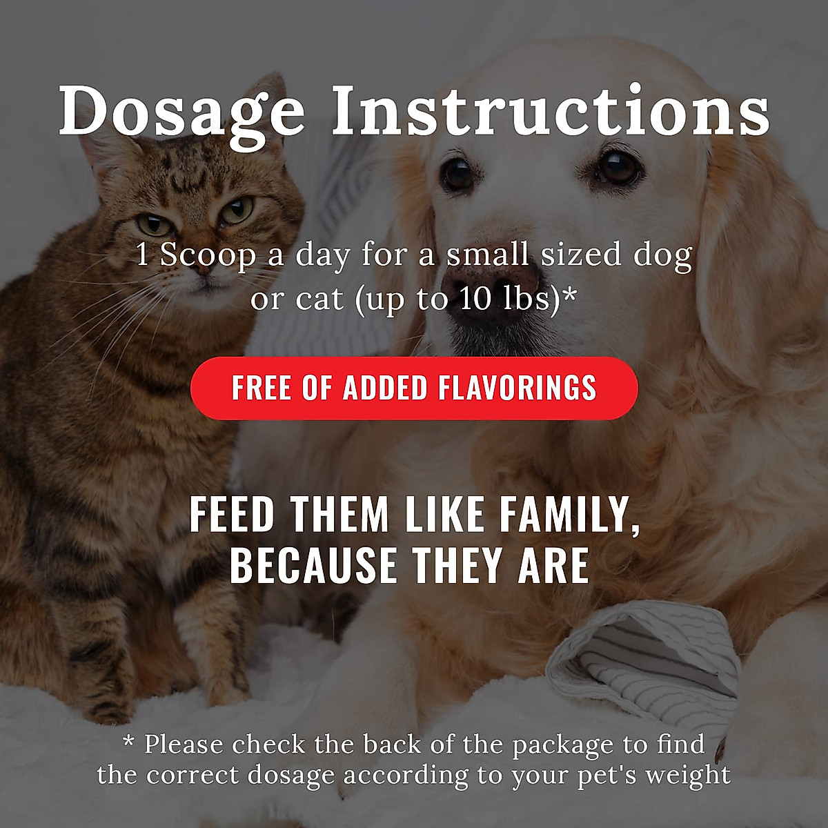 Mojo Joint Supplement for Dogs and Cats, Feline + Canine Food Grade Hip & Joint Supplement with Glucosamine and Chondroitin, Dog & Cat Mobility Supplement (Small, 8 oz)