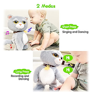 gebra Baby Toys 12 18 Months Singing Dancing Talking Cat Toddler Toys Interactive Cat Plush Early Learning Educational Musical Toy Gift for Boys and Girls Age 1 2 3 4 5, 14"