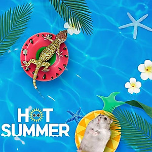 KUDES 9 Pack Bearded Dragon Bathe Float Bathtub Toys + 1 Inflatable Needle, Lizard Swimming Toys with Enjoy The Bath Time for Bearded Dragon Hamster and Other Small Animals