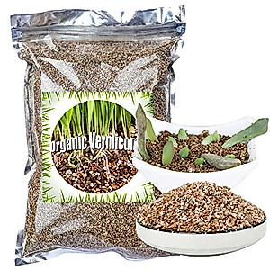 Organic Vermiculite 1 qt by Doter, Increases Water and Nutrient Retention and Aerates The Soil, Perfect for Root Cuttings, Seed Germination, Arranging Flowers, and Bedding for Invertebrates