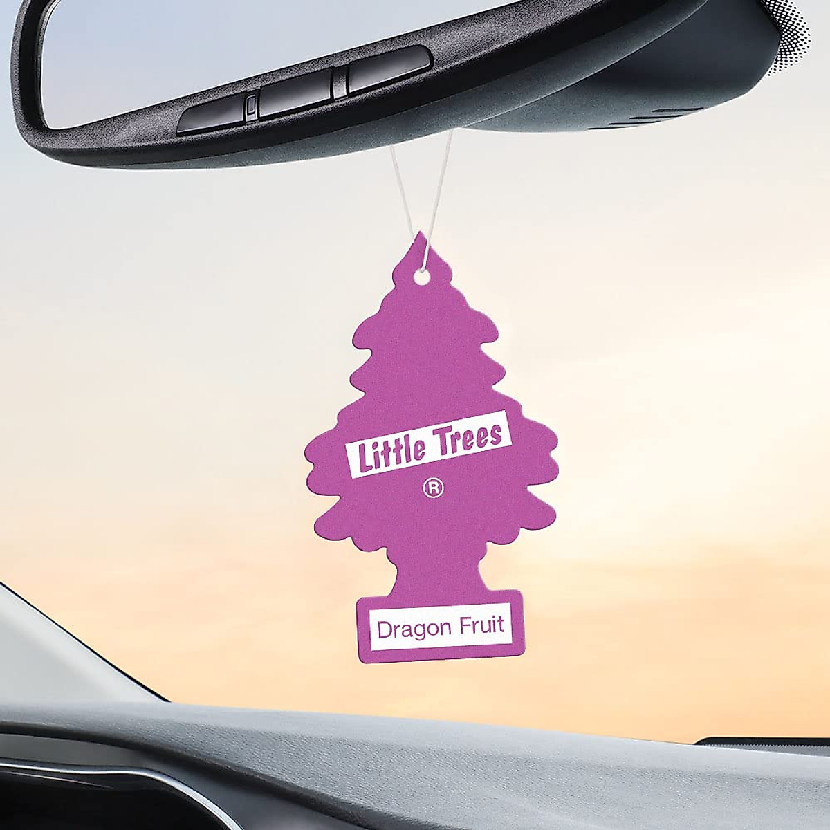 LITTLE TREES Air Fresheners Car Air Freshener. Hanging Tree Provides Long Lasting Scent for Auto or Home. Dragon Fruit, 24 Air Fresheners