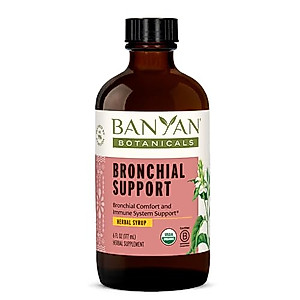 Banyan Botanicals Bronchial Support – Organic Herbal Syrup for Children & Adults – Soothing Respiratory Support Formula with Licorice & Ginger Root* – 6oz. – Non GMO Sustainably Sourced Vegetarian