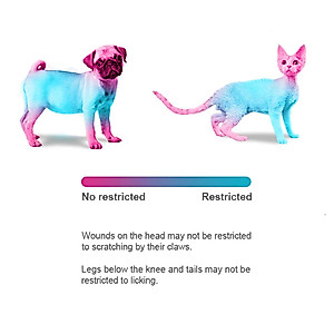 ccypet Pet Adjustable Recovery Collar - Recovery Protective Pet Cone Wound Healing Protective Soft Edge for Pets/Kitten/Cats/Small Dogs