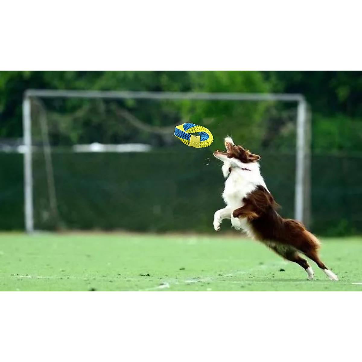 FELIXPAW Dogs Annular Toy Sensitive Colors and Protruding Shape Modeling Design Stimulate Dogs Long Time Playing Easier to Cleaning Teeth, for Small & Medium Dogs Training and Playing,Nylon