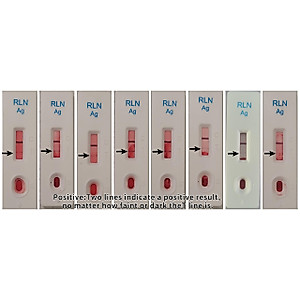 Dog Pregnancy Test at Home, 98% Accuracy, Painless to get Sample No Equipment Required Qucik Result at 5 Minutes Easy NO Mess