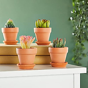 Juvale 2-Inch 16-Pack Small Terracotta Pots with Saucers and Drainage Hole, Paintable Pottery for Succulents, Plants, Flowers, Cactus, Garden Nursery, and Wedding Decor