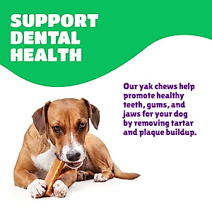 Healthy Yak Cheese Himalayan Chews, All-Natural & High in Protein, Odorless & Long Lasting Yak Chews for Large Dogs & Medium Dogs, Yak Cheese Dog Chews for Aggressive Chewers, 4 Large Pieces.