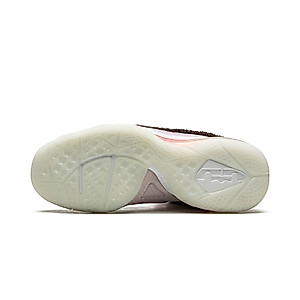 Nike Lebron IX Regal Pink/Multicolor/Velvet Brown 7 D (M)