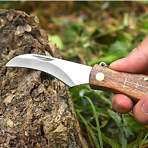 CABUGE Mushroom Knife with Brush & Sharpener, Folding Pocket knife with Wood Handle & Clip for Men Women, Folding Knives for Outdoor Camping