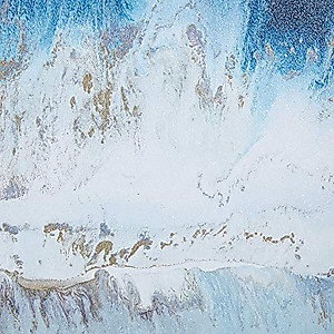 Madison Park Wall Art Living Room Décor - Galary Canvas Home Accent Modern Dining Bathroom Decoration, Ready to Hang Painting for Bedroom, Multi-Sizes, Blue Bliss 5 Piece