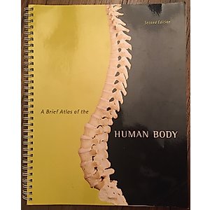 Brief Atlas of the Human Body, A
