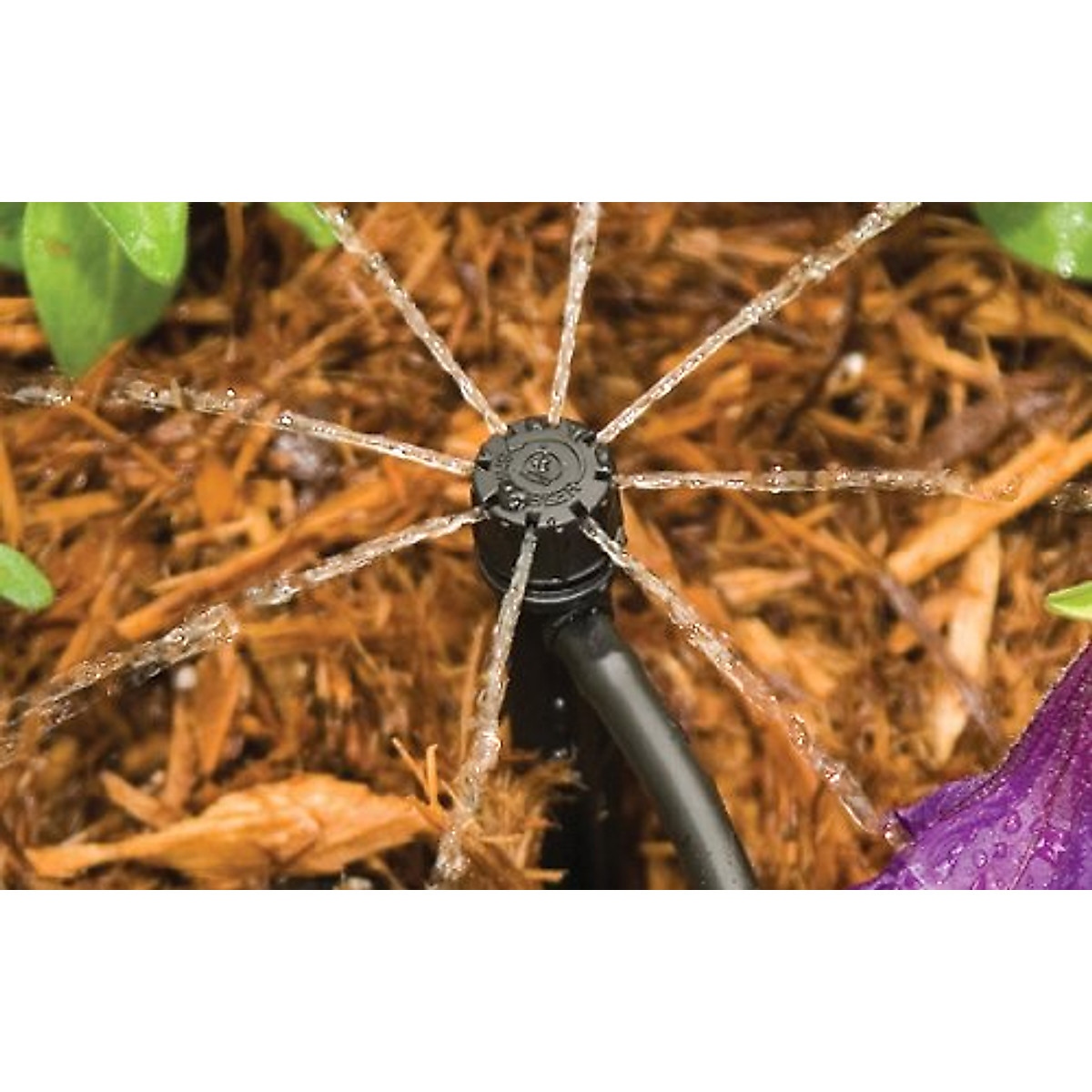Rain Bird MBF4PKS Drip Irrigation Micro-Bubbler on Stake, 360° Full Circle Pattern, 0 - 3' Spray Distance, 4-Pack,Black
