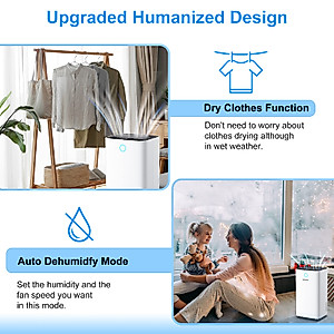 SEAVON 30 Pint Dehumidifiers for 2000 Sq. Ft Home Basement with Drain Hose, Dehumidifier with Auto and Manual Drainage,12 Hours Timer, Child Lock, Dry Clothes, Intelligent Humidity Control for Bedroom