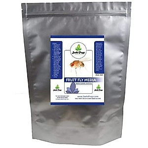 Josh's Frogs Melanogaster Fruit Fly Culturing Kit with Media, Vented Cups, and Excelsior (Large)