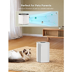 WELOV P100 Mini/P100 Mini Pro Air Purifier Replacement Filter, H13 True HEPA High-Efficiency Activated Carbon Filter for Pet Hair Dander Wildfire Smoke Pollen Dust Mite Kitchen Smells Odor
