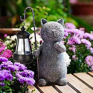 Qeeman A Bundle of Cat with Lantern and Dog