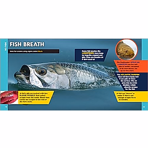 The Fascinating Ocean Book for Kids: 500 Incredible Facts! (Fascinating Facts)