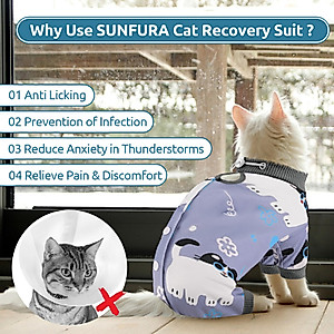 SUNFURA Cat Recovery Suit Full Body Suit, Cat Surgery Recovery Suit Female Kitten Onesie for Cats Anti-Licking, Pet Surgical Recovery Suit with Sleeves, Cat Spay Recovery Suit Male Neuter Grey-Blue L