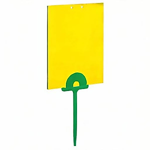 60 Sheets Sticky Fly Traps, Dual-Sided, for Flying Insect, Indoor and Outdoor, 8x6 Inch, Yellow