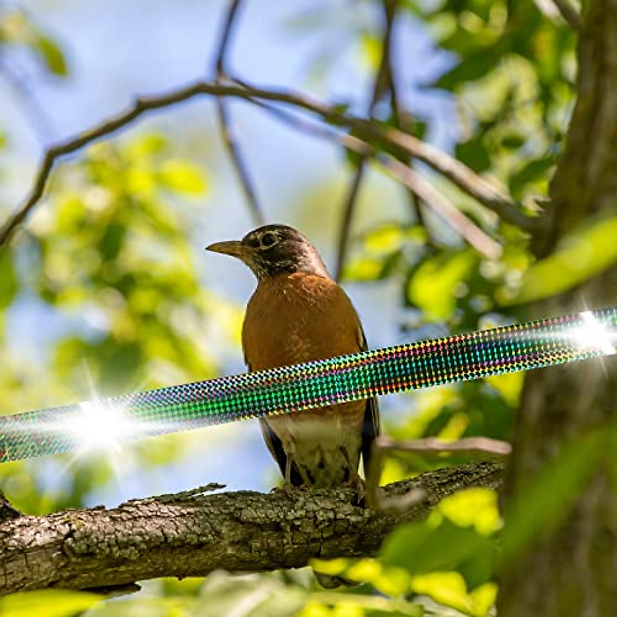 4 Roll Bird Tape Thick Tape Bird Tape Outdoor Double Side Bird Scare Ribbon Bird Device, Scare Birds Away, Pigeon, Woodpecker, Geese, 2 Inch, 1440 ft Total