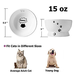 Y YHY Cat Bowl, 15 Ounce Cat Water Bowl, Raised Ceramic Cat Food Bowl, Elevated Cat Dog Dish No Spill, Pet Bowls for Cats or Small Dogs, Anti Vomiting, Measurable, White