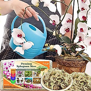 Legigo 5.3 OZ Premium Sphagnum Moss Potting Mix- Natural Succulent Carnivorous Plants Moss Dried, Long Fibered Sphagnum Moss Plant Growing Medium for Orchid Succulent Sarracenia Orchid Plants (6 QT)