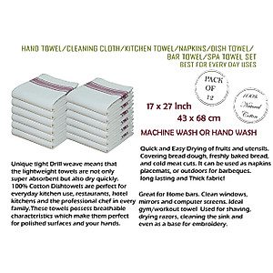 Tiny Break 100% Natural Cotton Kitchen Towel 17 x 27 Inch, 12 Pack, White with Red Stripe