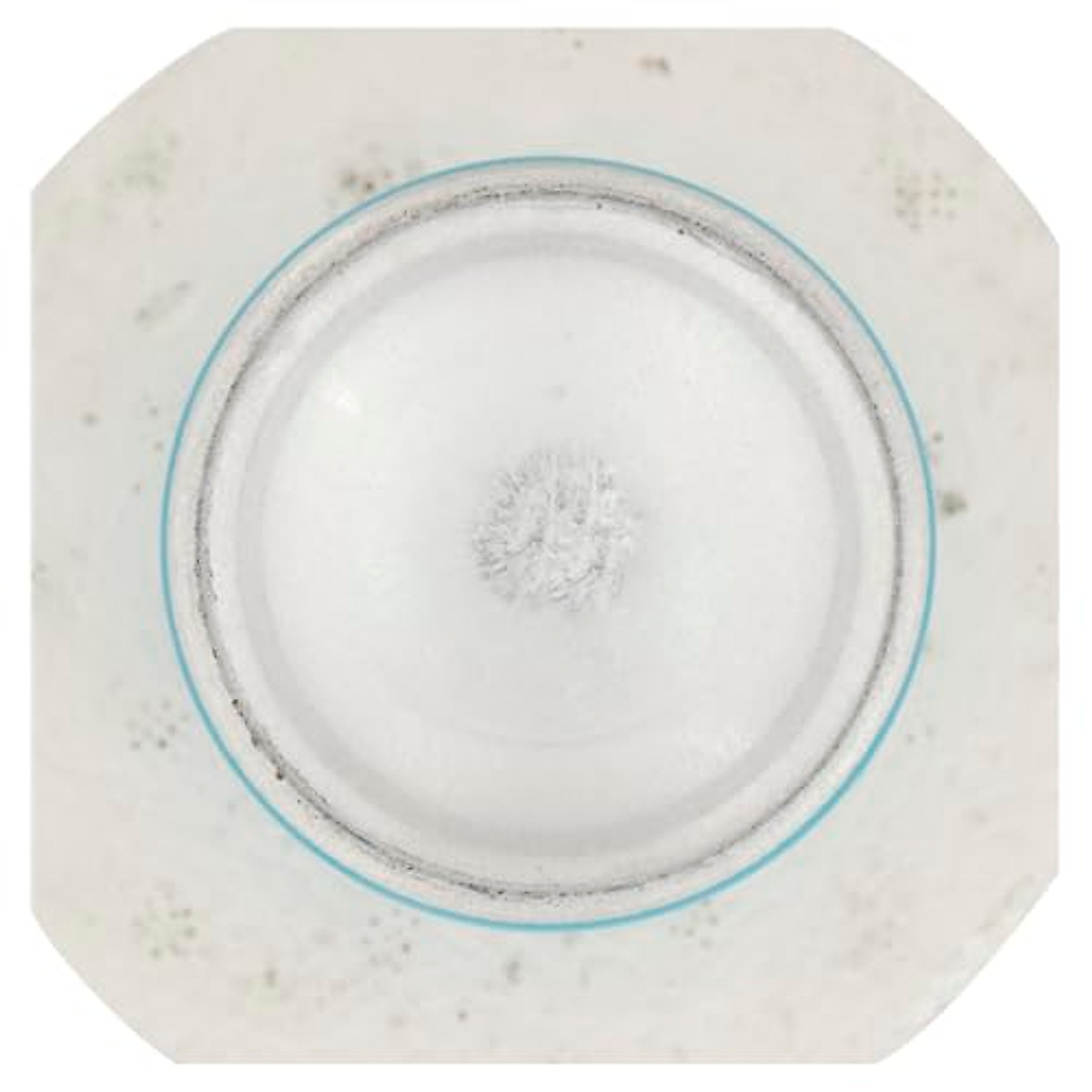 Tesori d'Oriente Ayurveda Perfumes for Women, Eau De Toilette, Women’s Fragrances, Elegant Aroma Composition with Blend of Rare & Precious Oil100ml 3.38fl.oz [Italian Import]