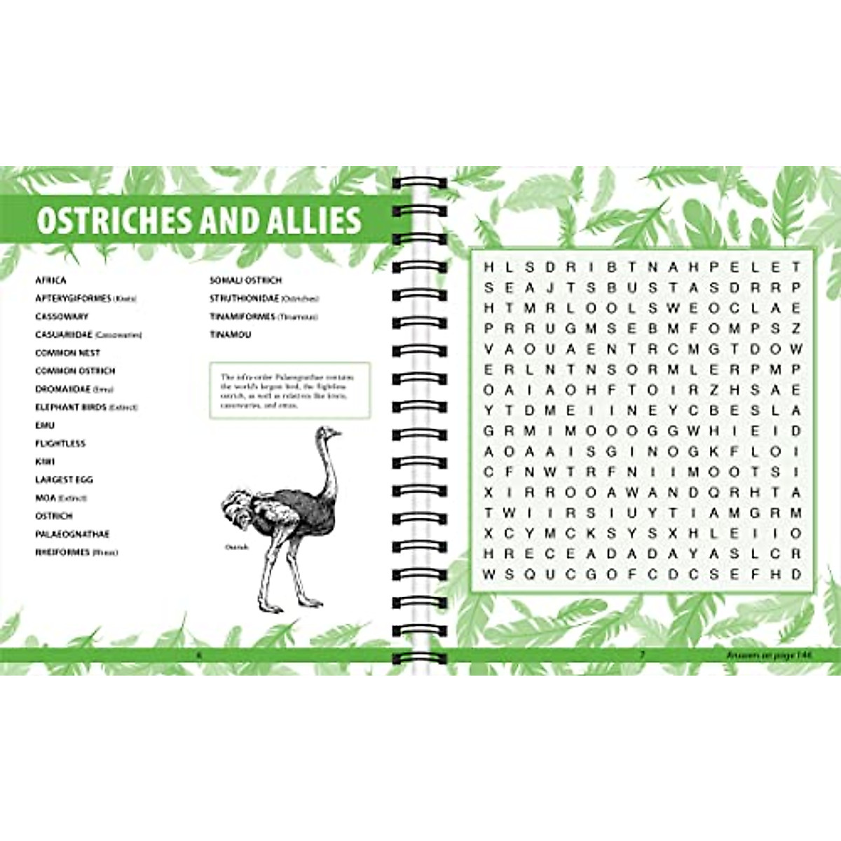 Brain Games - Birds Word Search Puzzles