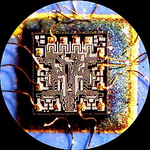 AmScope 7X-45X Simul-Focal Stereo Lockable Zoom Microscope on Single Arm Boom Stand