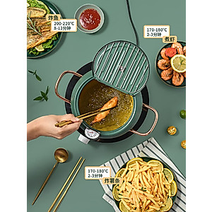 Cyrder Japanese Tempura Deep Fryer Pot with Fahrenheit Thermometer 3.5L- Nonstick Carbon Steel Oil Fryer, Fried Tempura/Chicken/Fish/Shrimp, Easy Clean, Green Big Tempura Pan, 10.2inch