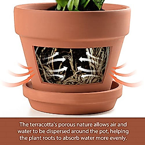 INGOFIN Terracotta Pots Set with Saucer - 5/6/7 inch Ceramic Clay Planters with Drainage Hole, Garden Flower Succulent Pots with Tray for Indoor Outdoor Plants, Set of 3