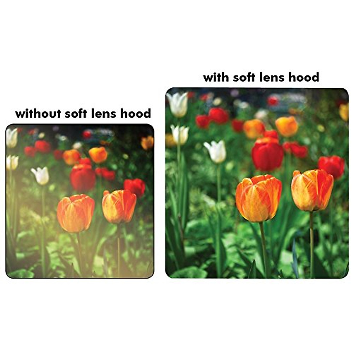 72mm Digital Tulip Flower Lens Hood for Select Canon, Nikon, Olympus, Pentax, Sony, Sigma, Tamron SLR Lenses, Digital Cameras and Camcorders + Microfiber Cleaning Cloth