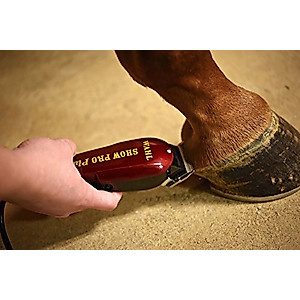 WAHL Professional Animal Show Pro Plus Equine Horse Clipper and Grooming Kit (9482-700)
