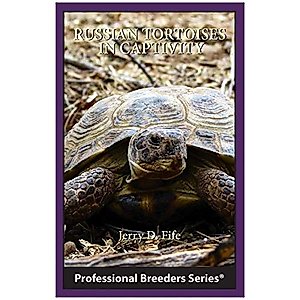 Tom's Reptile Supplies Russian Tortoises in Captivity