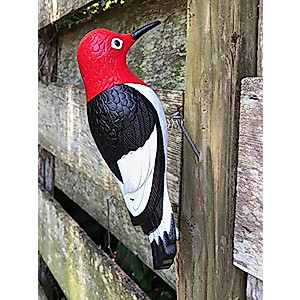 Woodpecker Tree Ornament Decoy Plastic & Metal Decorative Deterrent & Repeller- Easy to Mount-House, Tree or Gift 9" Tall