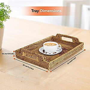 Hand Woven Rattan Serving Tray - Durable, Lightweight 17 Inches Rattan Basket Trays with Handles - Rectangular Basket Organizer Tray for Coffee Table - Can be Used for Snacks, Drinks and Decor
