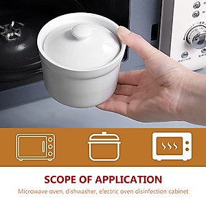 Angoily 2pcs Ceramic Stew Pot with Lid Small Steam Soup Bowl Steaming Cup Stockpot Cookware for Egg Custard Medicinal Birds