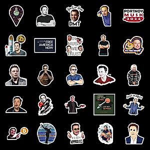 N&S [FOCUS's Stickers]100Pcs Elon Musk Stickers for Laptop Cellphone Water Bottle Hydro Flask Skateboard Luggage Car Bumper, etc FJKT, FS028
