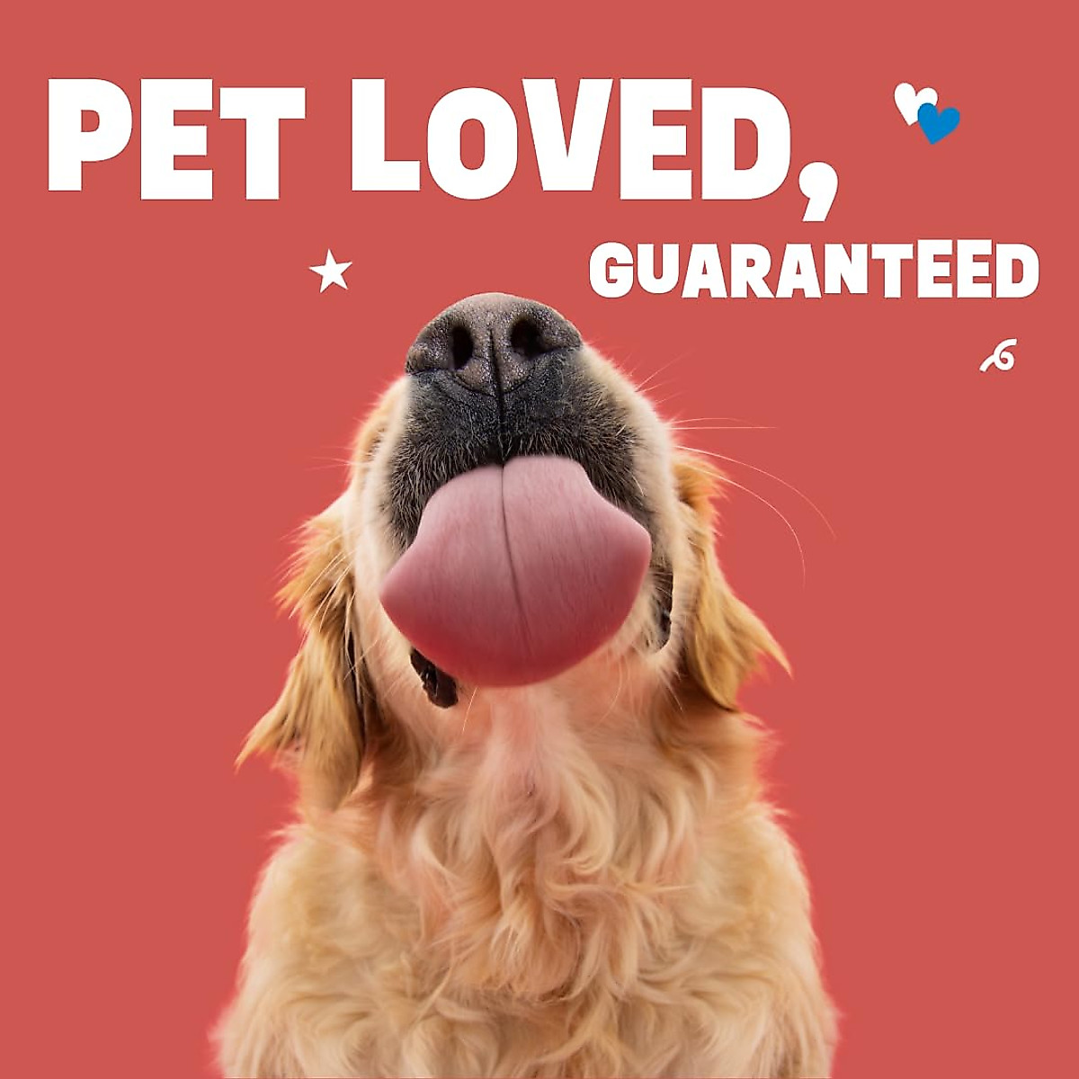 Dinovite SuprOmega Wild Caught Salmon Oil for Dogs & Cats - GMO Free Omega 3 Skin & Coat Supplement - Skin & Coat Meal Topper for Dogs & Cats - 16 oz