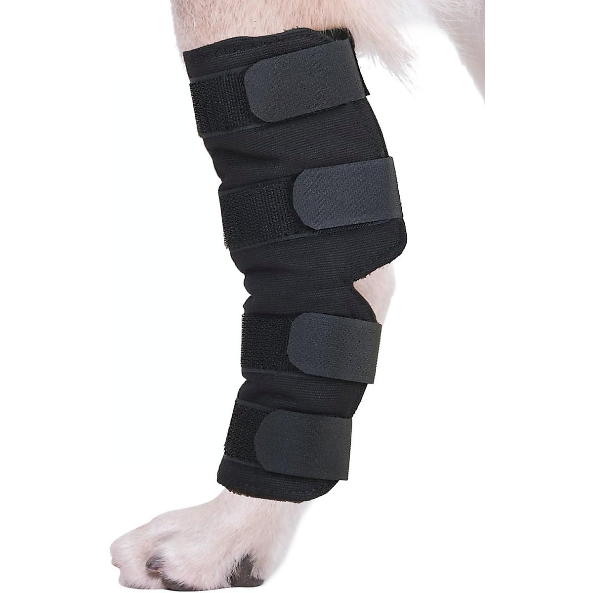 ceepdoogle Dog Extra Supportive Canine Rear Leg Hock Joint Compression Wrap for Recovery Protection Sprain and Injury Prevention Hind Ankle Brace with Knee Support for Dogs Extra Large