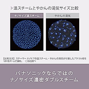 Panasonic Steamer Nano Care W-Warm/Cold Esthetic Type with Lotion Mist Gold EH-SA0B-N