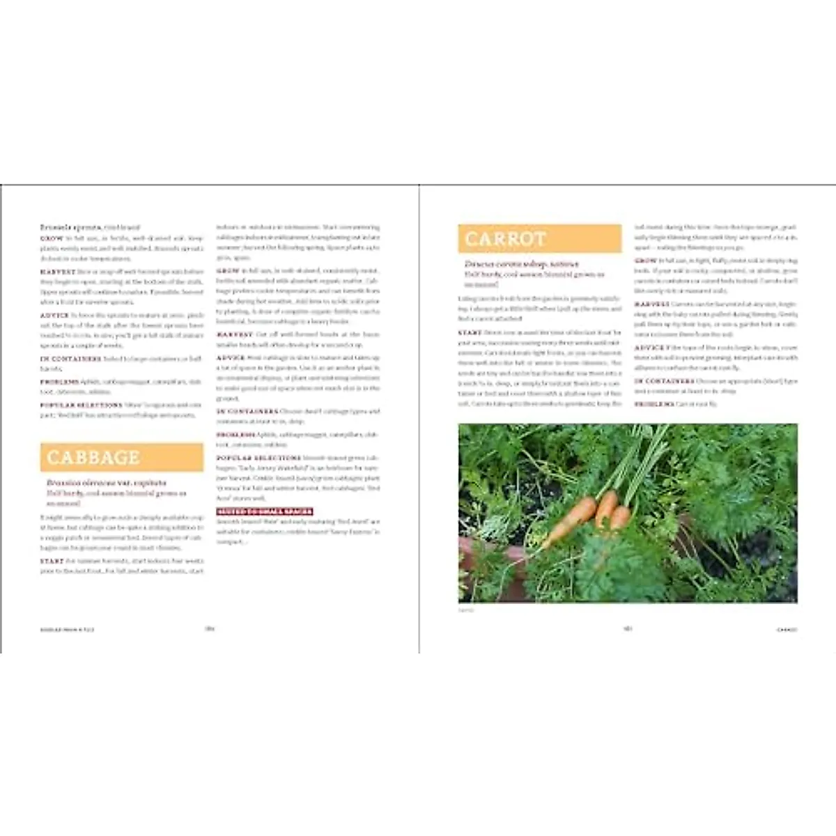 Small-Space Vegetable Gardens: Growing Great Edibles in Containers, Raised Beds, and Small Plots