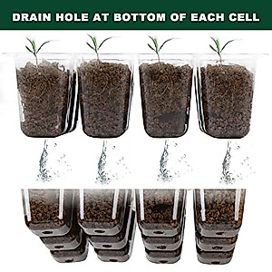 JERIA 20 Packs (240 Cell Seedling Starter Trays) Seed Starter Tray Seed Starter Kit with Humidity Adjustable Dome,Plant Germination Trays for Seeds Growing Starting Plant Starter Kit (Green and Black)