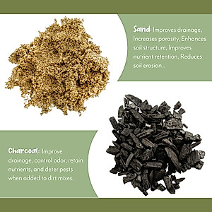 Fern Plant Potting Soil Mix (2 Quarts), Custom Hand Blended Mixture for Indoor/Outdoor Container Gardening