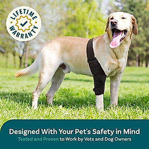 Dog Knee Brace, Dog Knee Brace for Torn Acl Hind Leg, Dog Leg Braces for Back Leg, Size Large, Dog Acl Brace Hind Leg, Acl Brace for Dogs Rear Leg, Dog Knee Brace for Luxating Patella