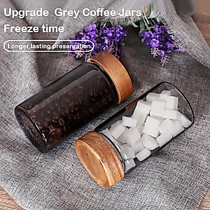 SAIOOL 6 Pcs Small Grey Glass Spice Jars with Label,High Sealing Threaded Mouth, 8.79oz /260ml*6,Empty Cylinder Spices Bottles,Storage Jars with Airtight Screw Lids,Retro Style