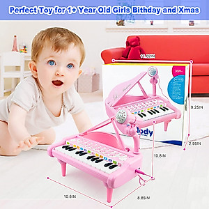 Litaonner Pink Piano Toys for 1+ Year Old Girls Gifts - 24 Keys Toddler Piano Keyboard Musical with Microphone, Kids Piano Toys for 2 Year Old Girls Birthday and Xmas Gift