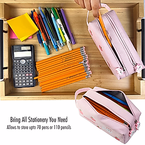 WittySilly Cute Cat Pencil Pouch for Girls, Kawaii Large Capacity Pink Pencil Case, Stationery Organizer Bag, High School College Pen Case, Office Supply Case Organizer (Soft Pink)